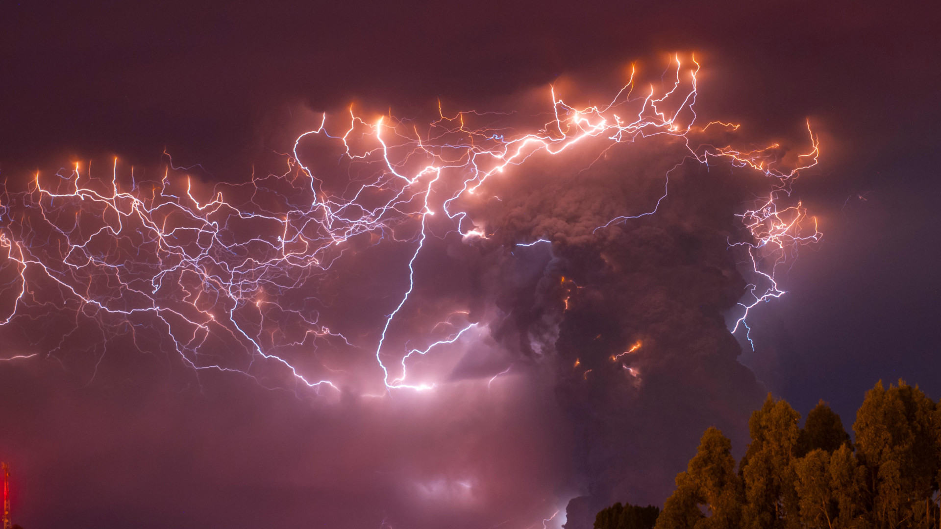 Dinky kapoor web series video if you recognize her and you