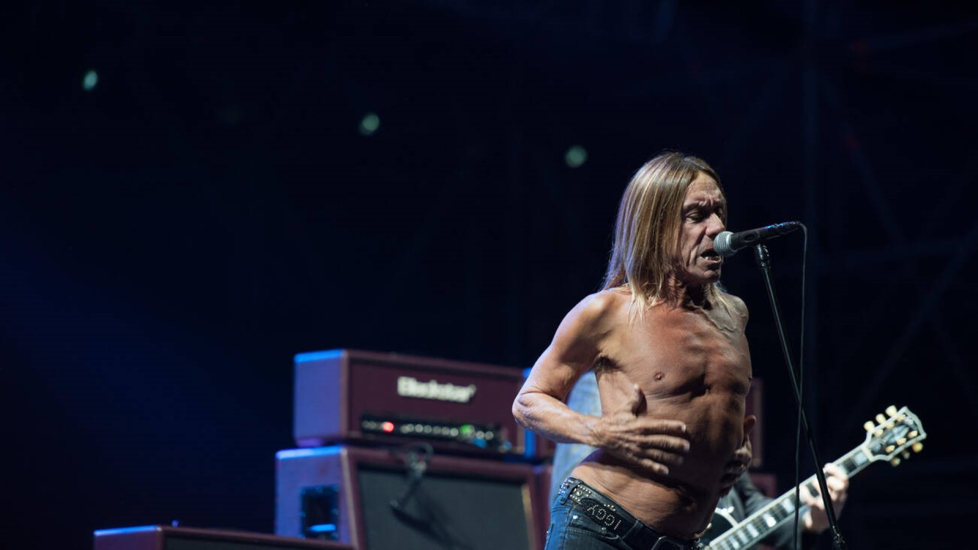 ¿Qué hay detrás del "Pop" de Iggy Pop? Ni en 1000 vidas serías capaz de ...